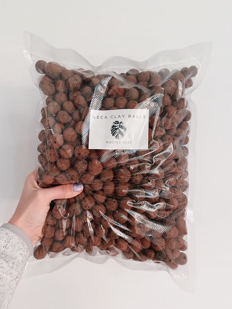 LECA Expanded Clay Pebbles – Rooted Hues
