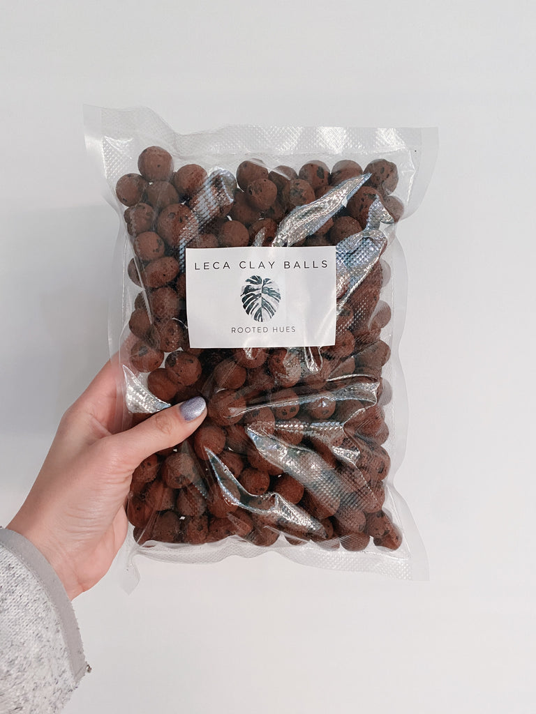 LECA Expanded Clay Pebbles – Rooted Hues